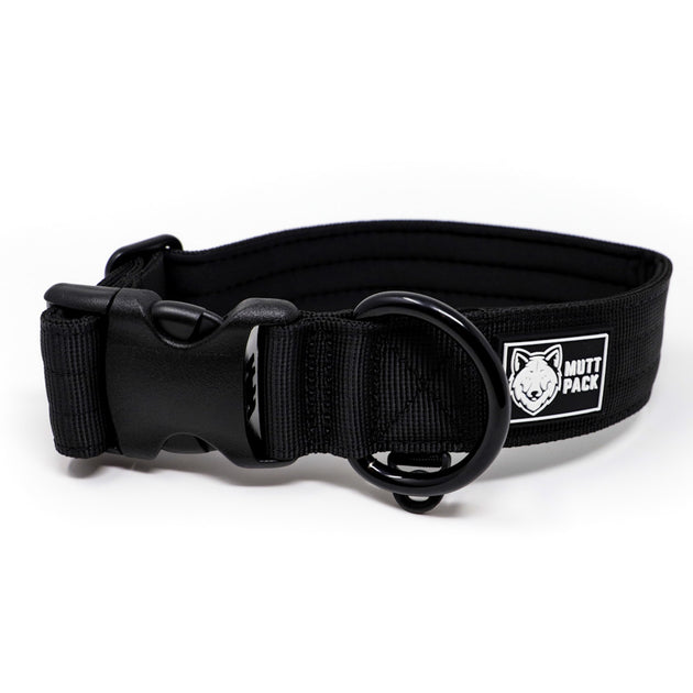 Black1.5inchYKKCollarbyMuttPack_1200x630.jpg?v=1661483484